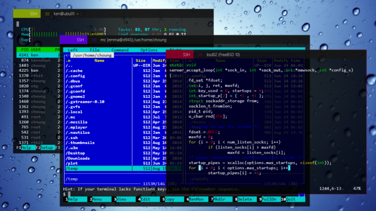 20 самых нужных команд SSH на каждый день. - AntiDDoS.biz